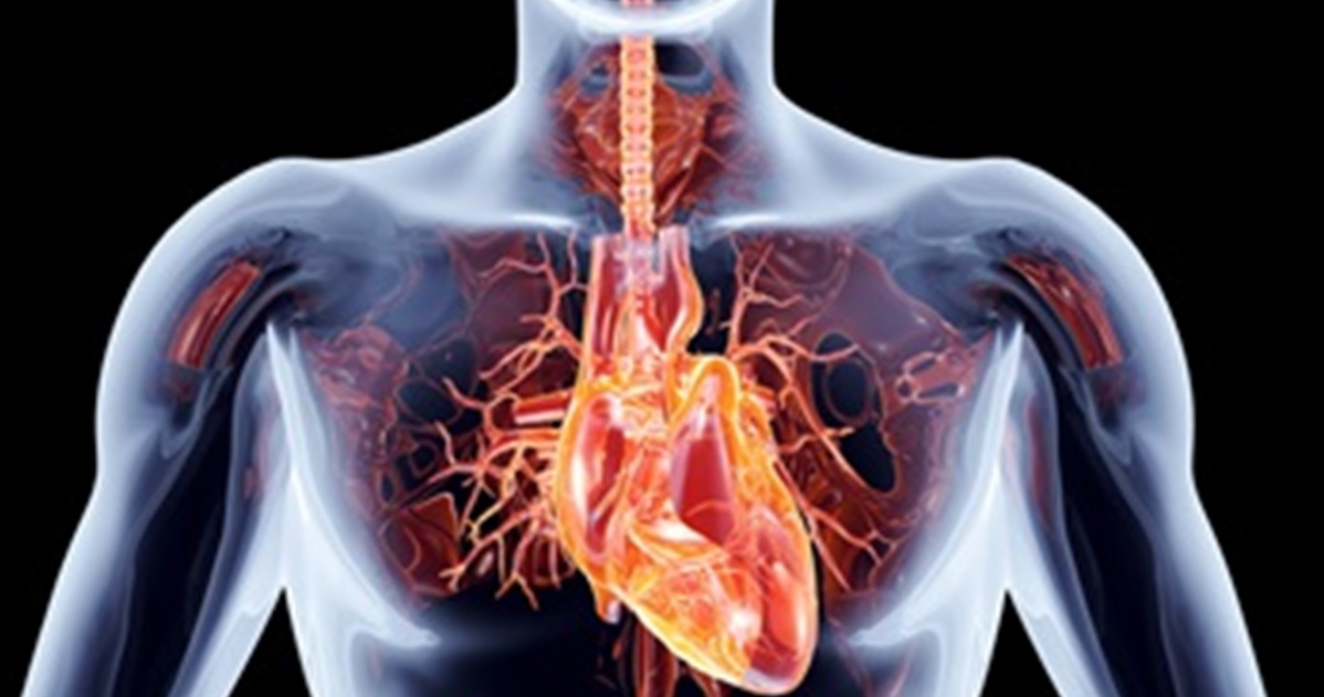 Beta-Blockers in Coronary Artery Disease Without Heart Failure